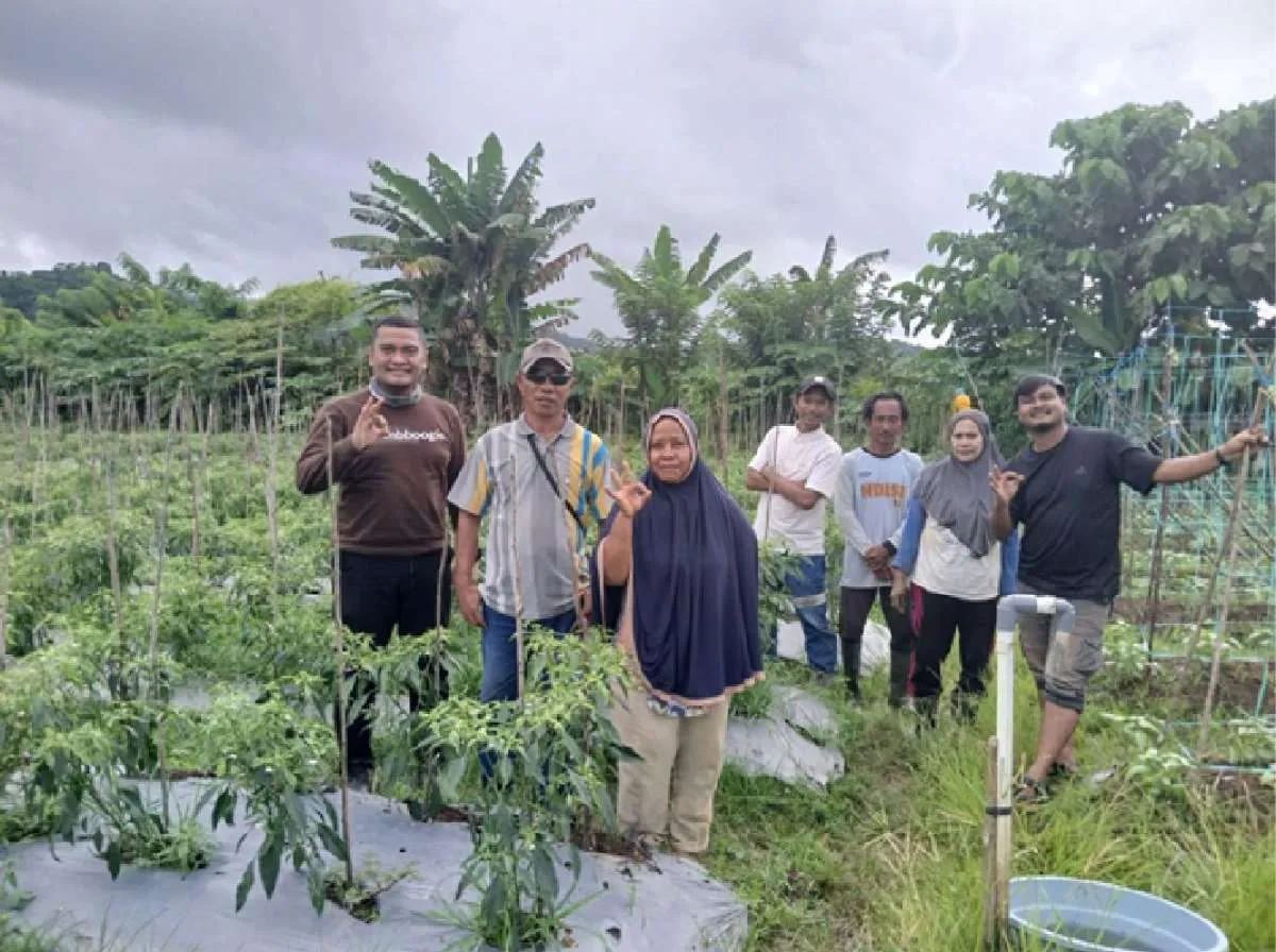 Tak Sekadar Tambang, Harita Nickel Juga Hidupkan Pertanian di Pulau Obi ...